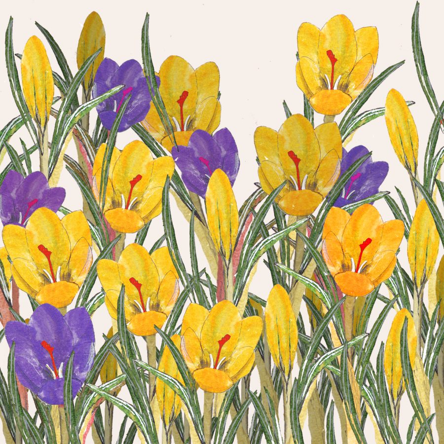 1871 Hello Spring - Tatty Co